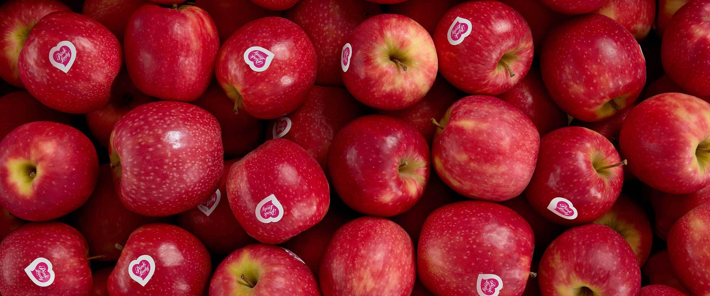 Pink Lady® Apfel: Wichtige Daten | Pink Lady®
